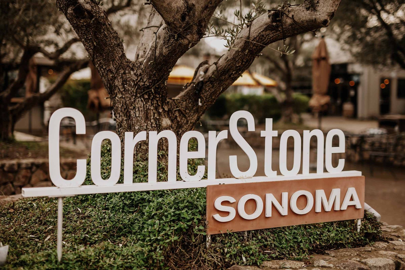 How To Vacation On A Budget In Sonoma Wine Country - Cornerstone Sonoma