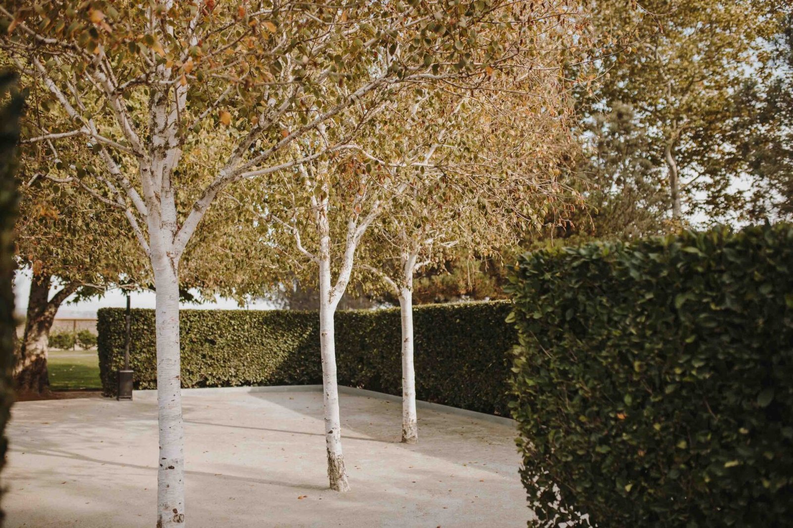 Cornerstone Venues - Cornerstone Sonoma